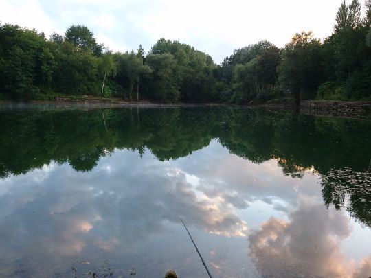 Baggersee Poller Holzweg | ALLE ANGELN