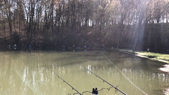 Angelpark Scheid | ALLE ANGELN