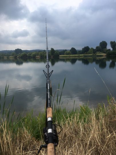 Kinzigsee (Langenselbold) | ALLE ANGELN