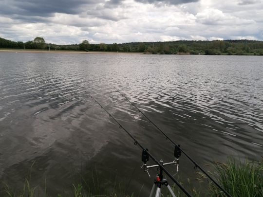 Kinzigsee (Langenselbold) | ALLE ANGELN